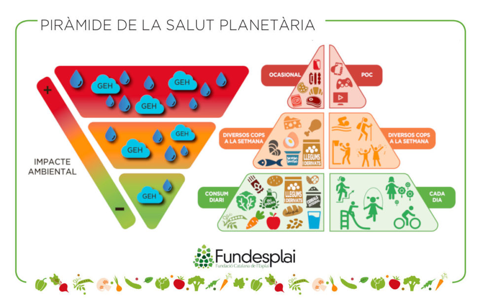 Piràmide alimentària de la dieta planetària - Fundesplai Món Escolar